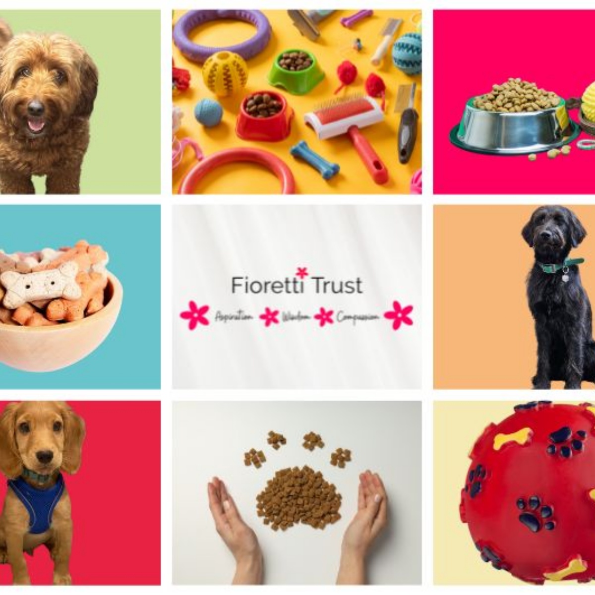 Fioretti Trust - The Power of a School Dog